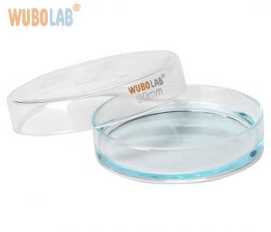 Petri Dishes: Everything You Need to Know - WUBOLAB
