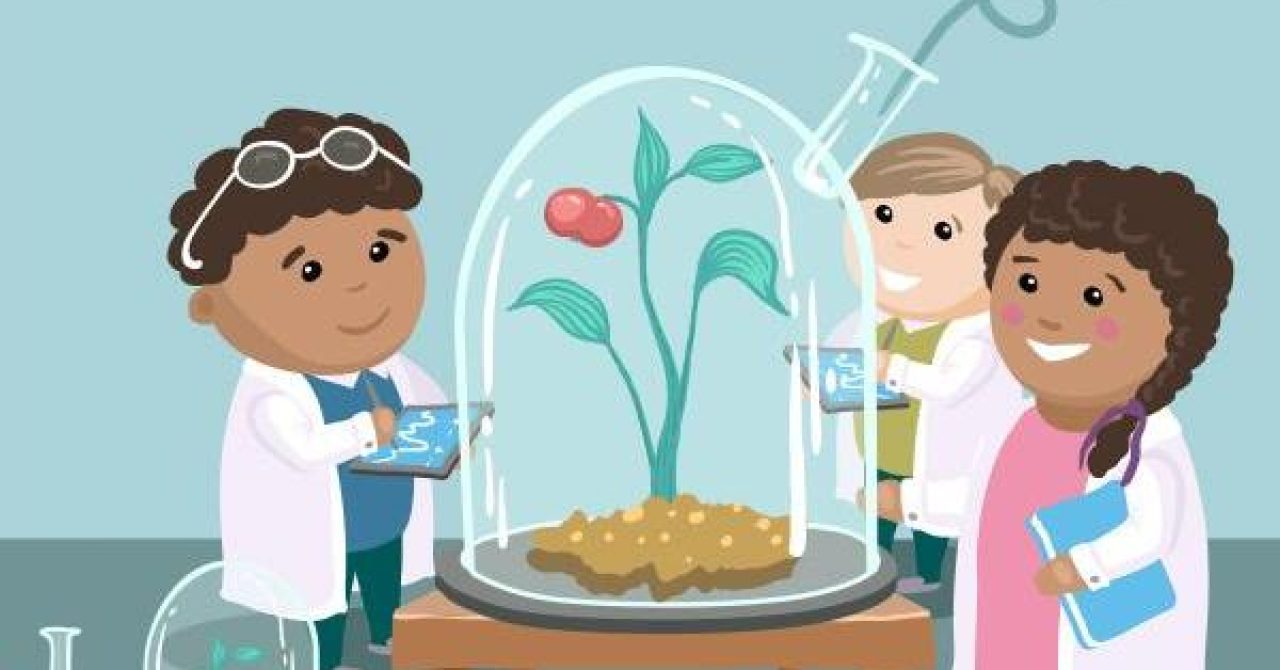 Bad habits in the lab - 【WUBOLAB】